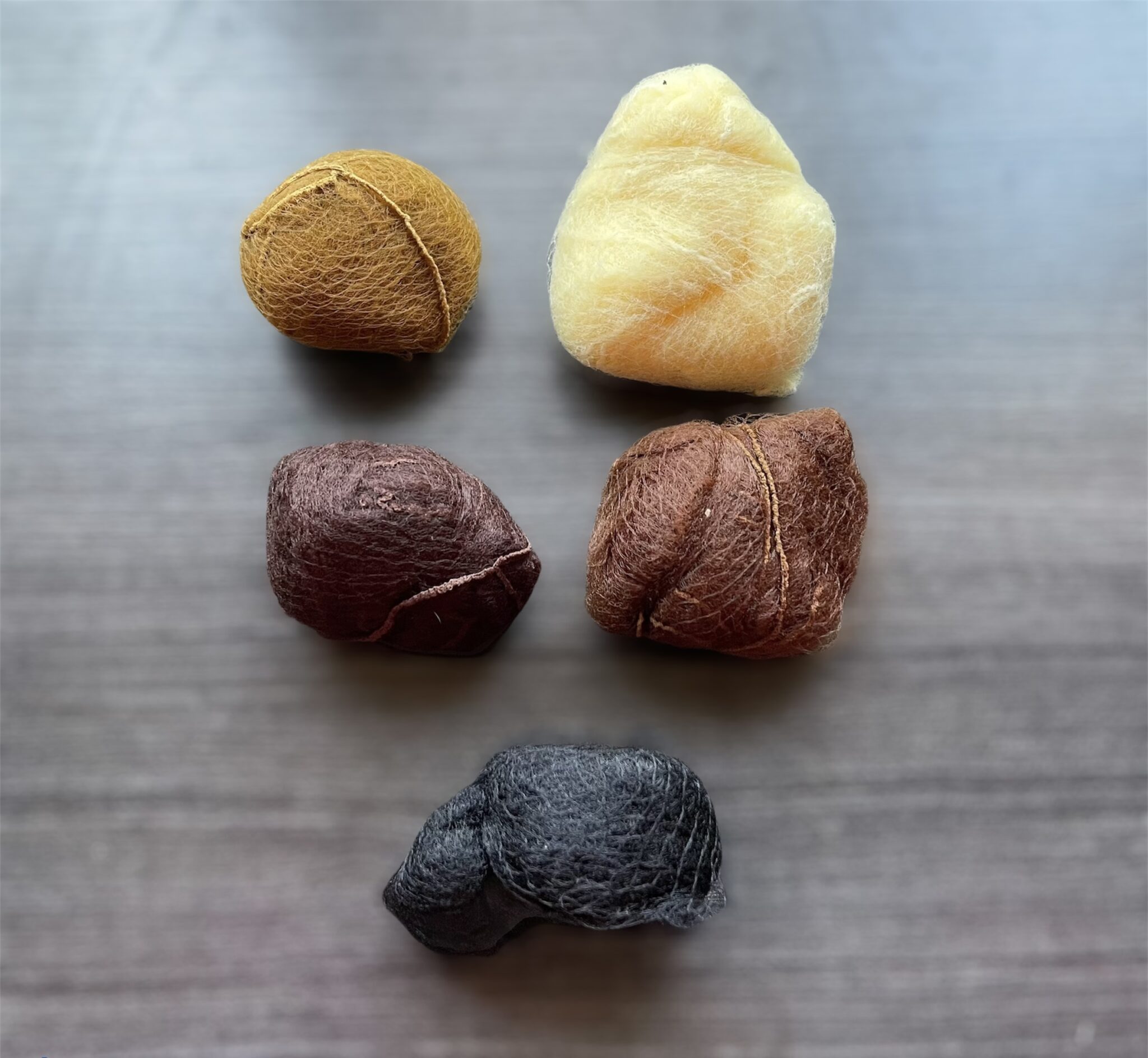 Redecilla Invisible Moño Pelo CHD- Accesorios de Ballet para pelo